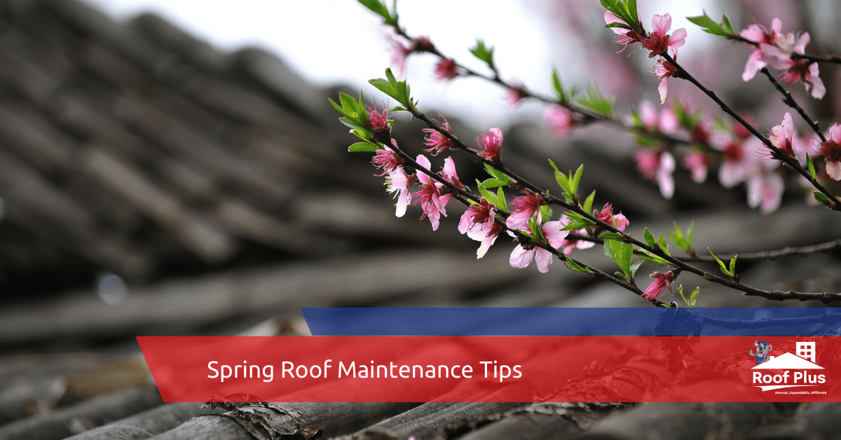 Spring Roof Maintenance Tips From Roof Plus - Roof Plus